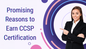 What is CCSP Certification and What Are the Benefits? - Big Data Rise