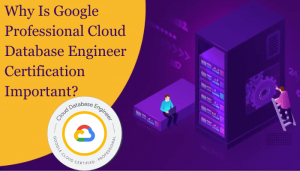 Google Professional Cloud Database Engineer: Value to Your Profile